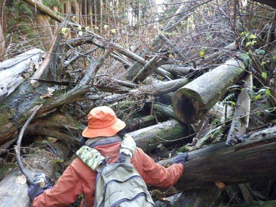 アソガ谷 ルート調査 2025.12.19 | okaokaclub